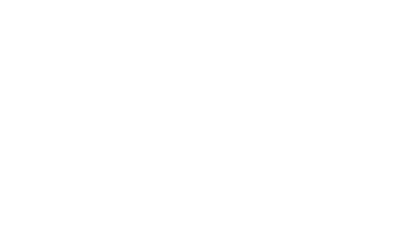 Trezoro Professional Ionic Hair Dryer